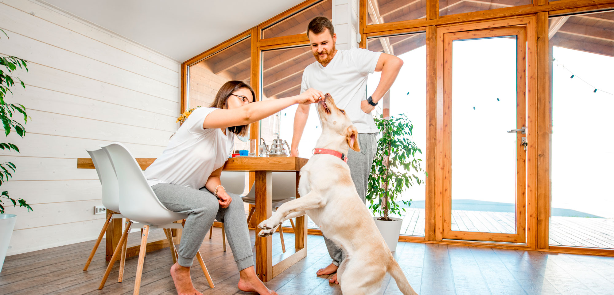 Seguro Residencial - Vip Tiger